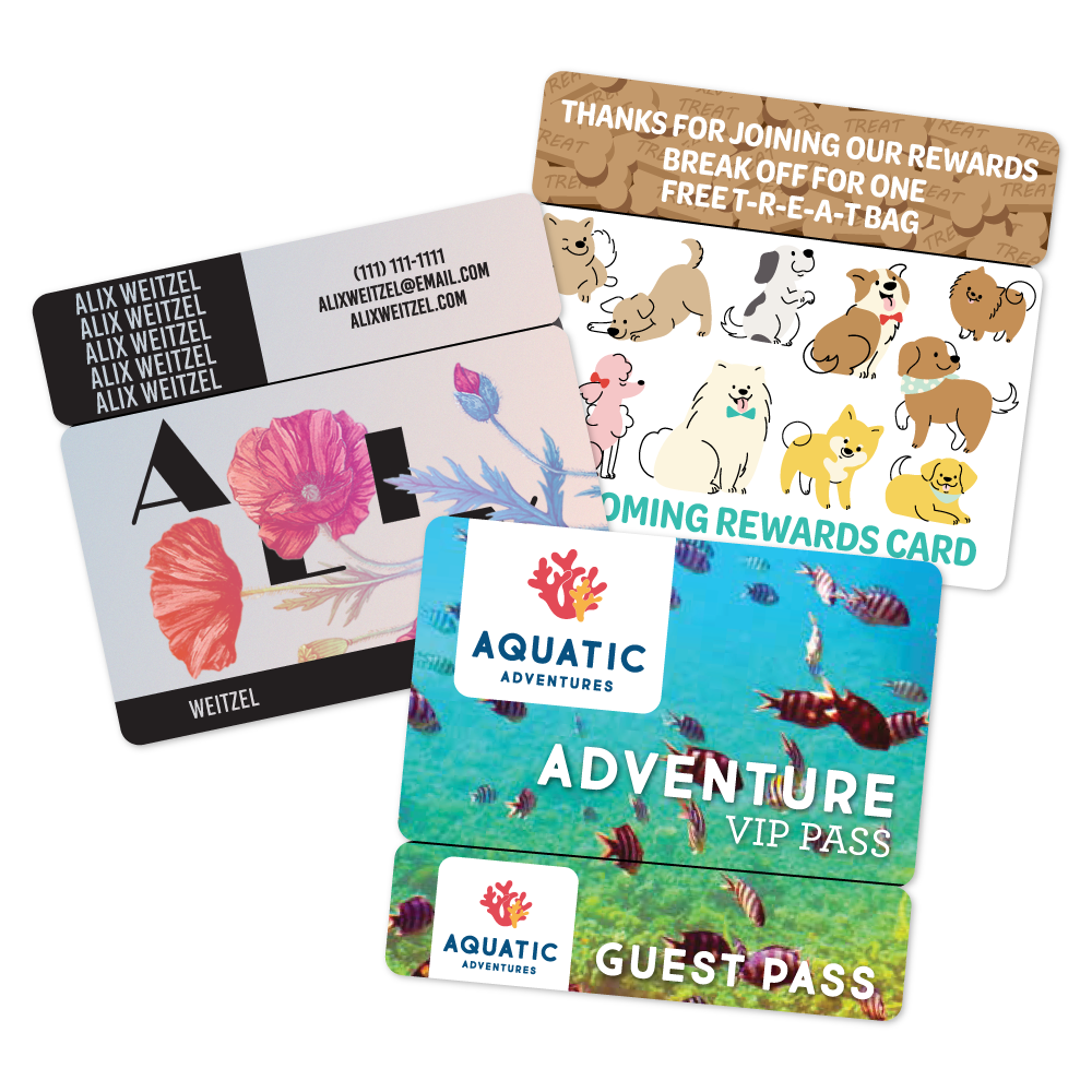 Custom Plastic 3.375" x 2.125" Cards With Snap Off Top – Plastic Printers